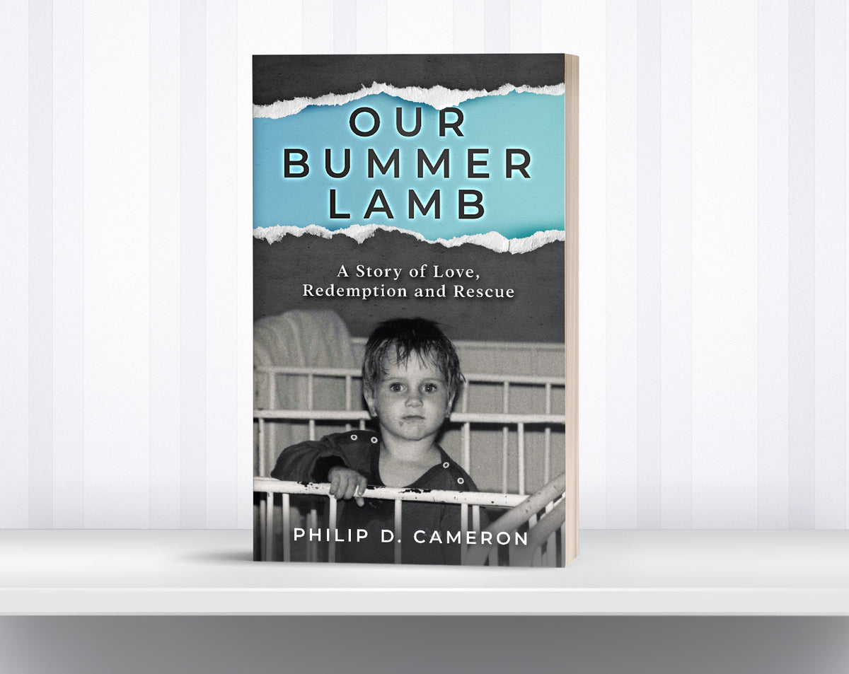 Our Bummer Lamb – The Orphan's Hands